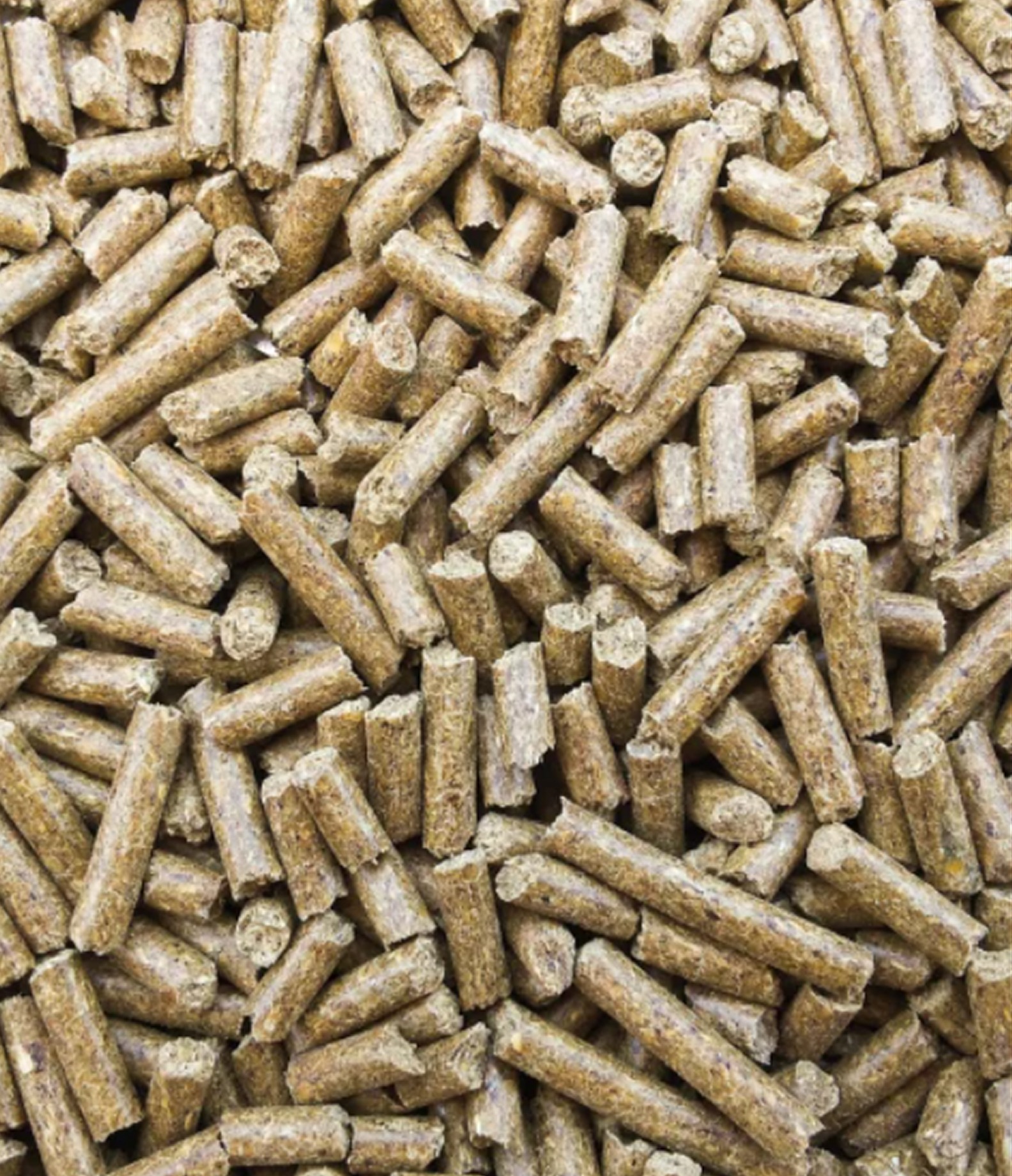 Clou compact Pellet - Alpes Flammes